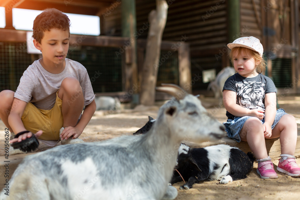 Kids Caring For Animals