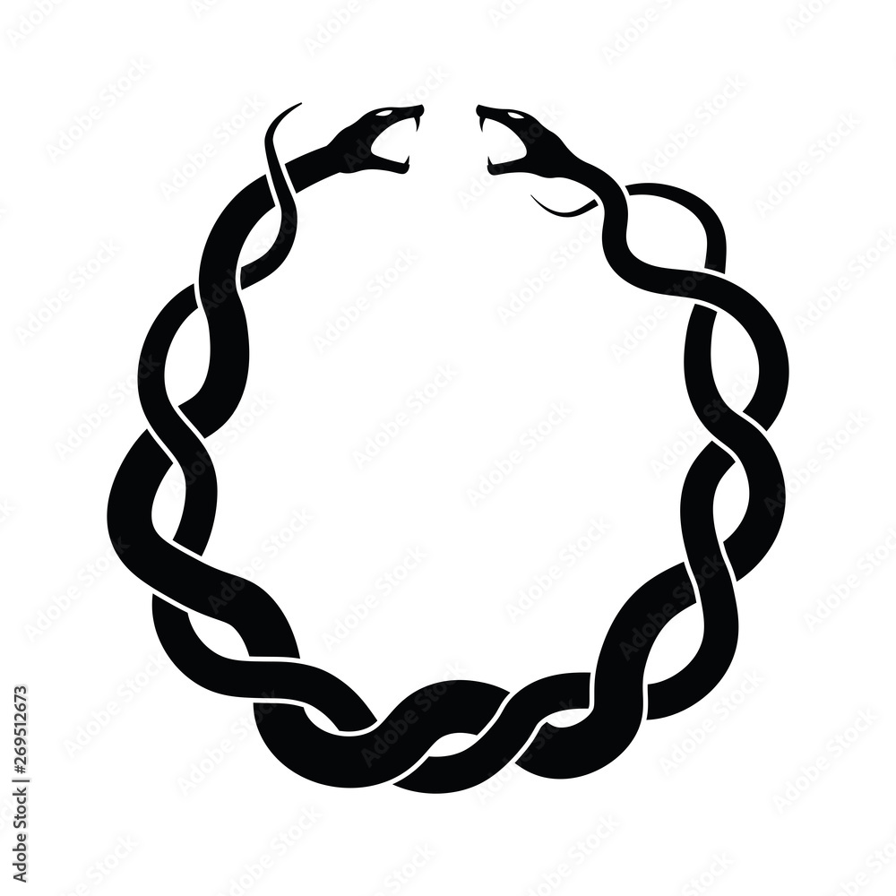 Intertwined snakes facing each other Stock Vector | Adobe Stock