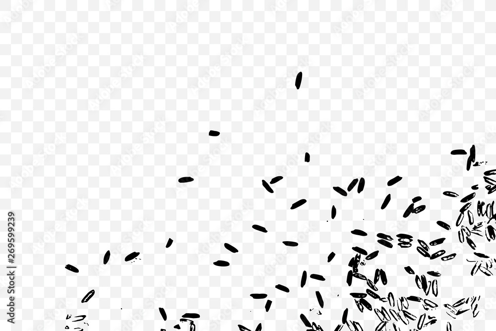 Concept of simple rice grain random thrown pattern on transparent ...