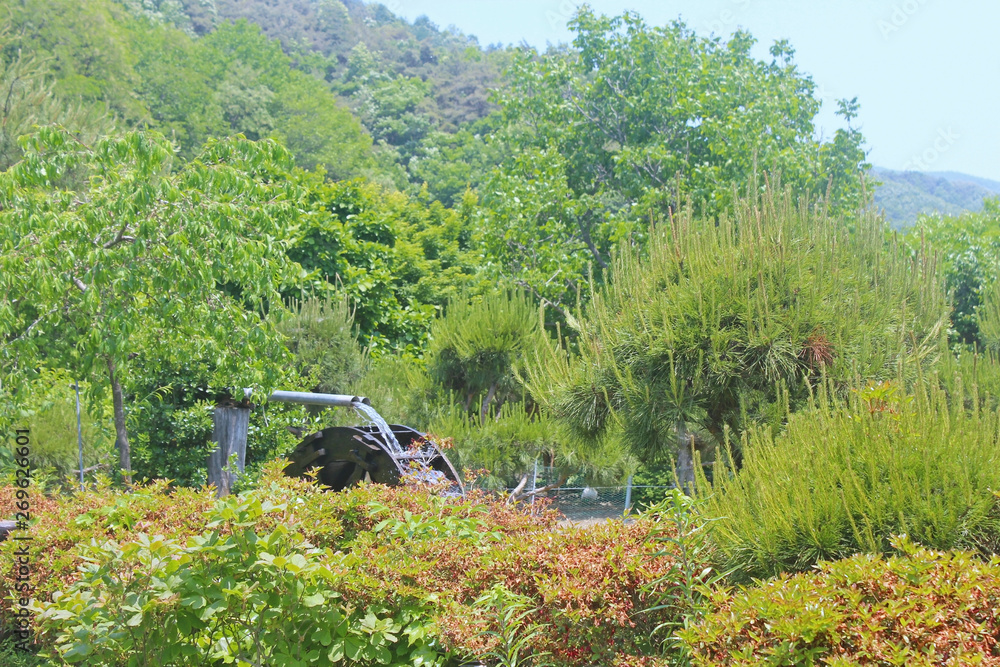 숲속에 물레방아 Stock Photo | Adobe Stock