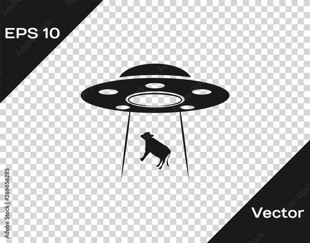 Grey UFO abducts cow icon isolated on transparent background. Flying ...