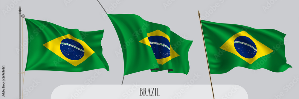 Set of Brazil waving flag on isolated background vector illustration ...
