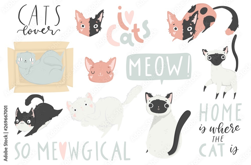 Cute kitty cat vector illustration set with different cat breeds and ...