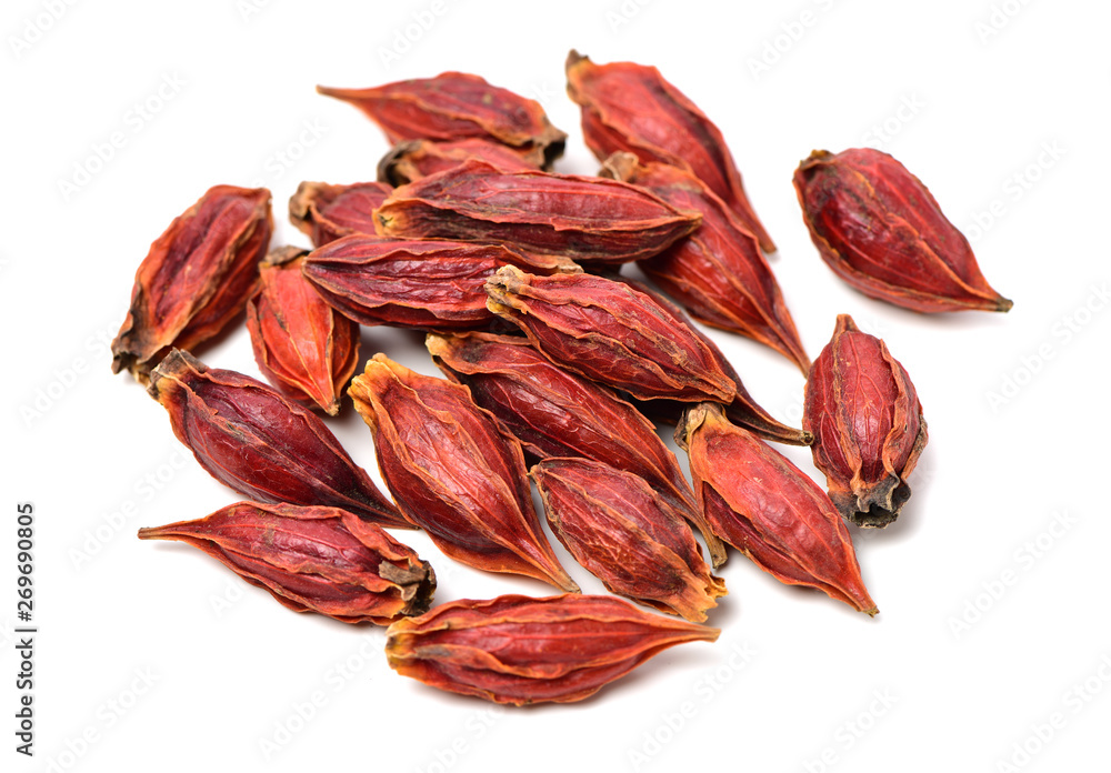 fruit of the gardenia （Gardenia jasminoides Ellis）on white background ...