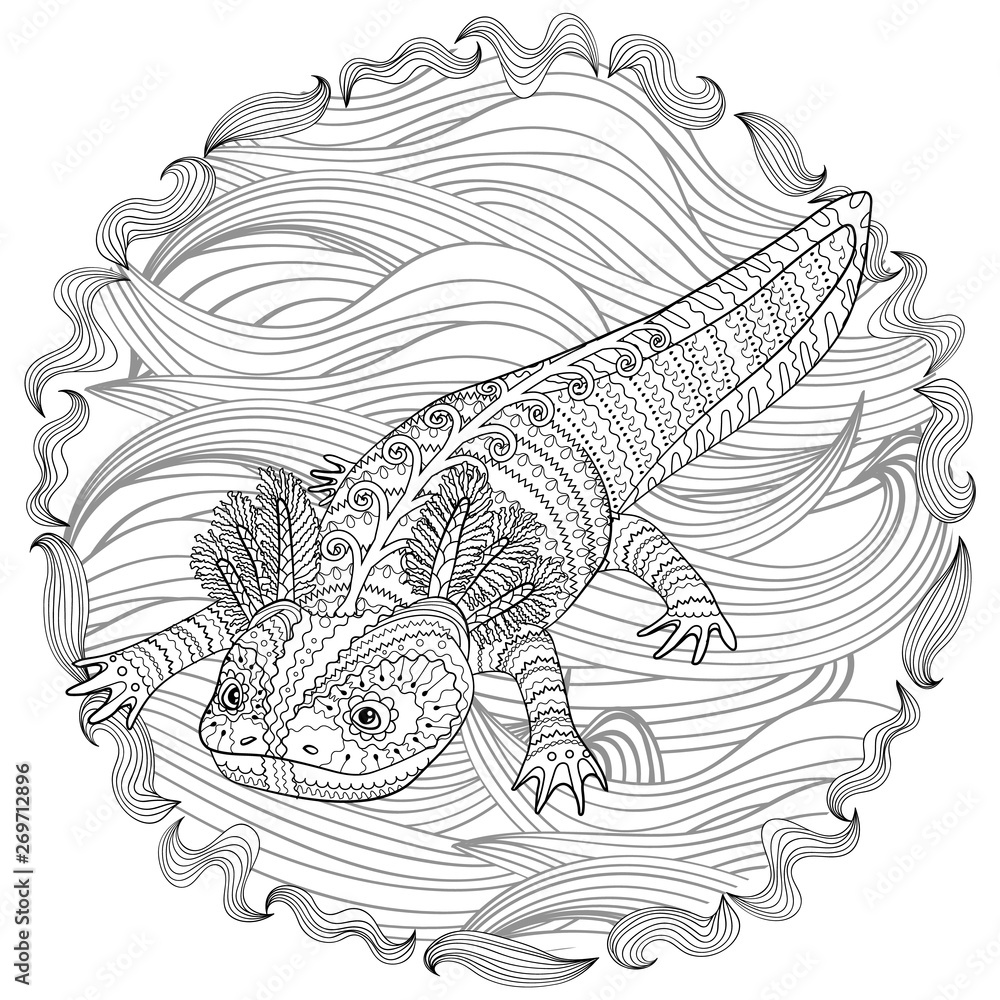 Coloring page with axolotl in patterned style. Stock Vector | Adobe Stock