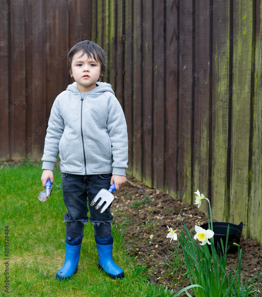 4 years old boy using garden fork and trowel to plant daffodils flowers ...