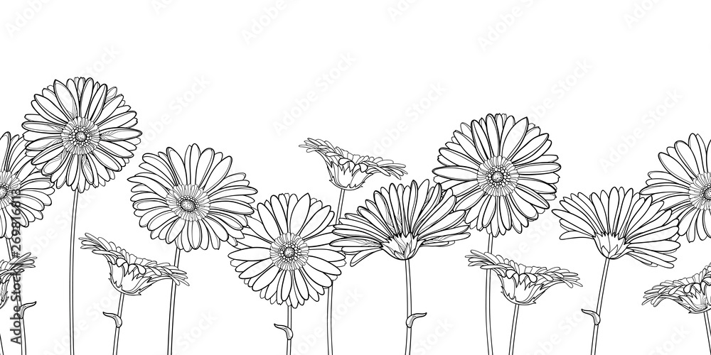 Gerber Daisy Outline