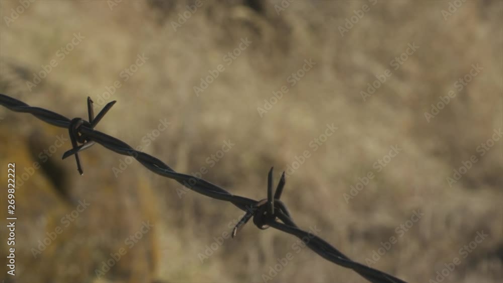 barbed wire flowing in the breeze with brown dead grass in the ...