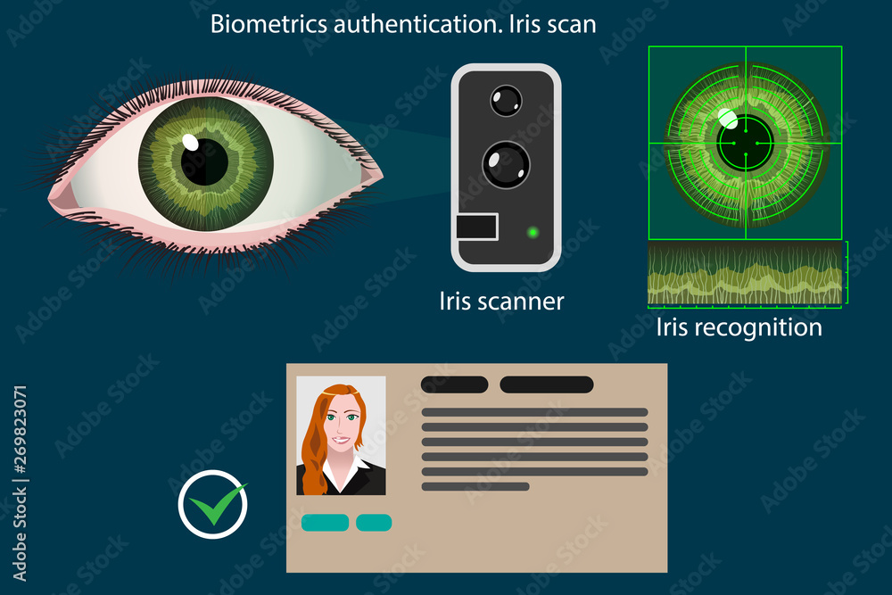 Iris scan - biometric authentication method diagram, vector ...