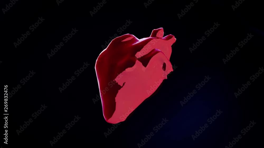 Vidéo Stock Realistic human heart, beating organ on different moving ...