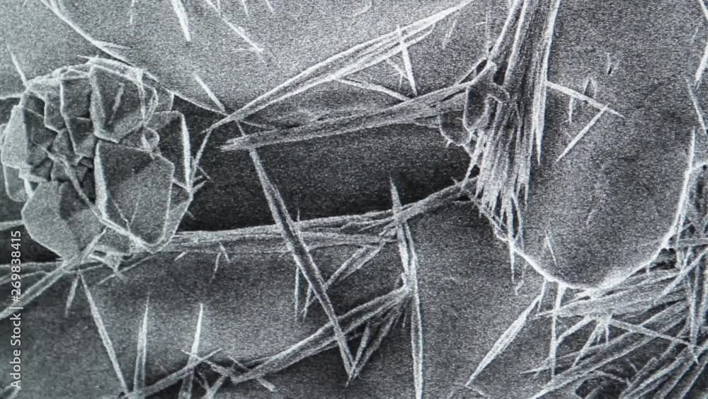 Detailed Image of a Sample Image with Filaments Using Scanning Electron ...