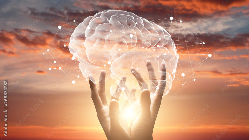 Female hands touching brain with network connections Stock Photo ...