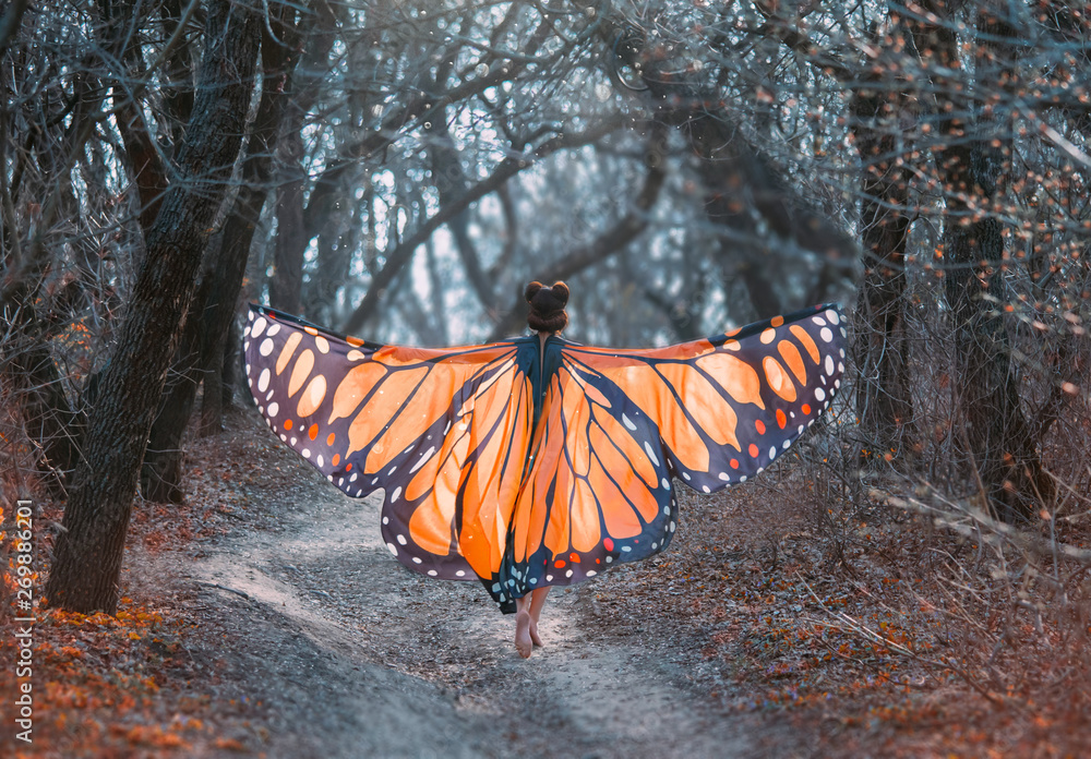 A bright, positive, sunny monarch butterfly, with huge wings, walks in ...