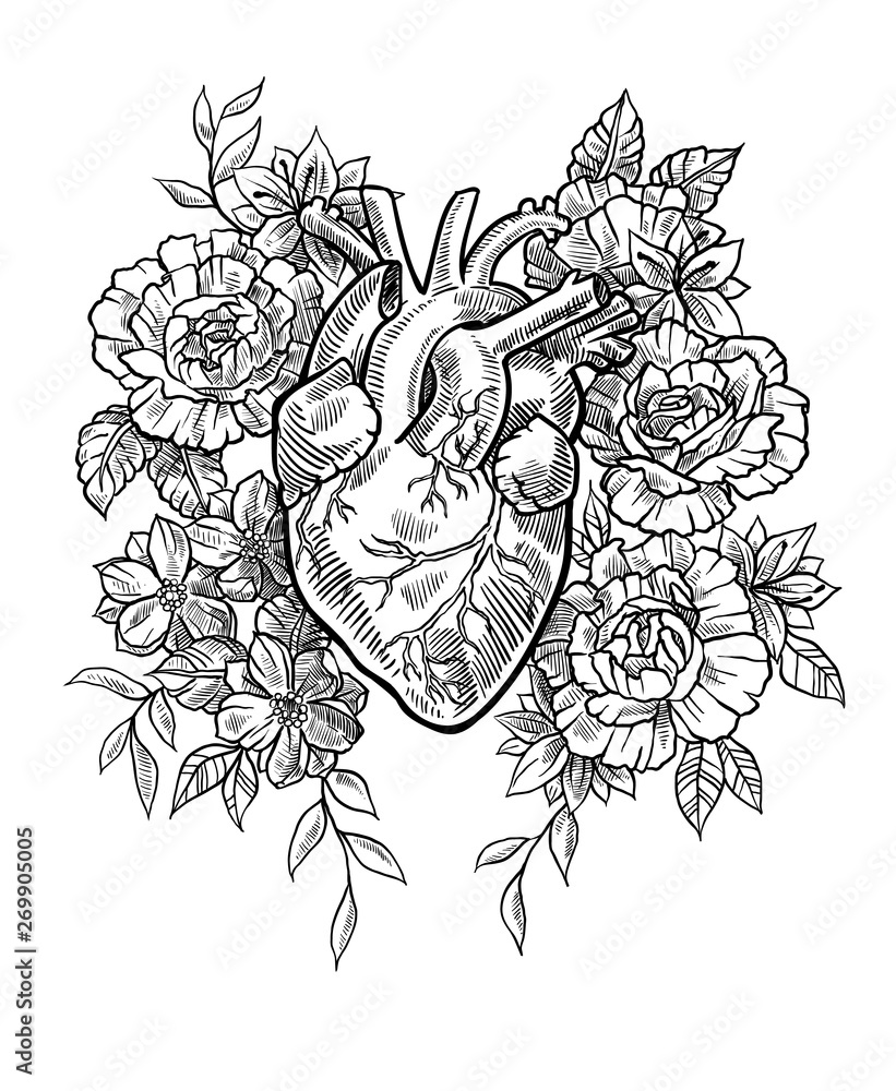 Anatomical heart in flowers in graphic style Stock Vector | Adobe Stock