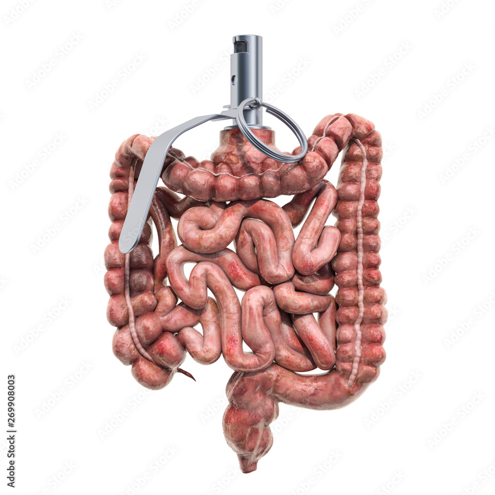 Pain in intestines, bowel disease concept. Human intestines as hand ...