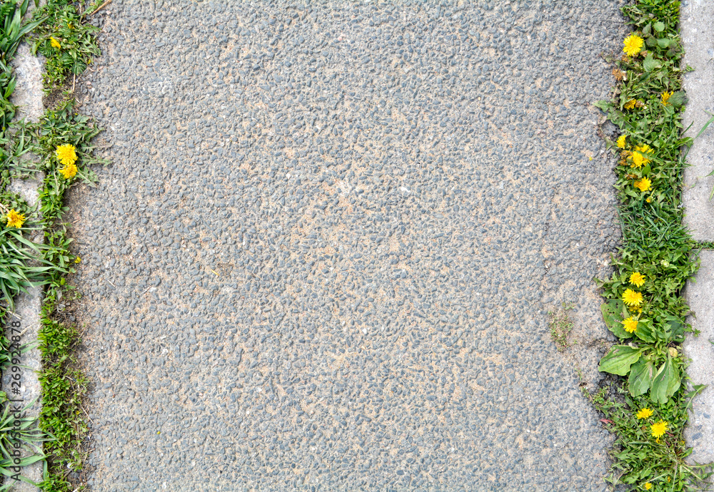 Texture of rough asphalt road with grass and flowers of Dandelion at ...