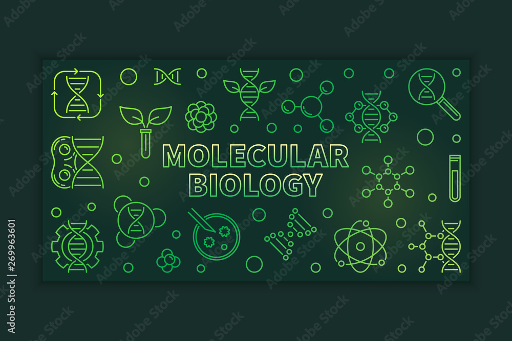 Vector Molecular Biology