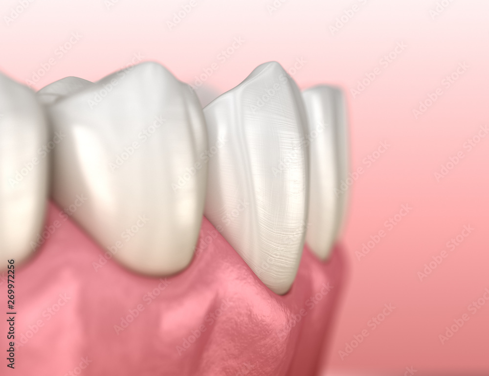 Mandibular human gum and teeth anatomy. Medically accurate tooth 3D ...