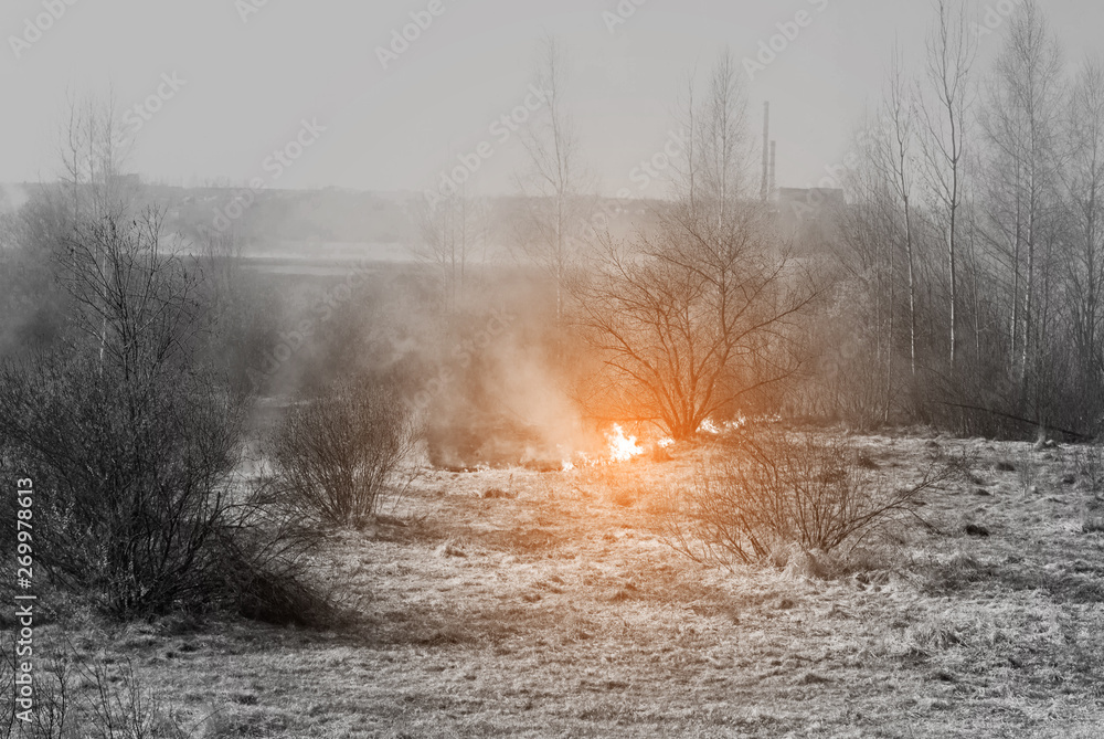 Black and white photo of a forest fire where dry grass and orange fire ...