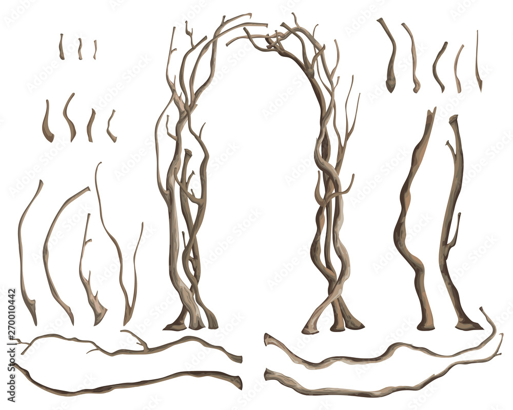 Rustic arch with tree branches and isolated design elements on white ...