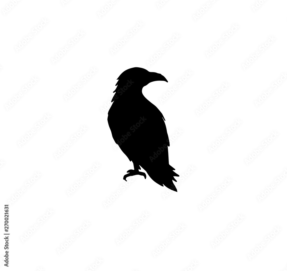 Raven silhouette isolated vector Stock Vector | Adobe Stock