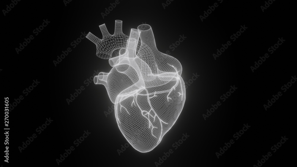 3D wireframe hearts render isolated white backgrounds, Abstract Heart ...