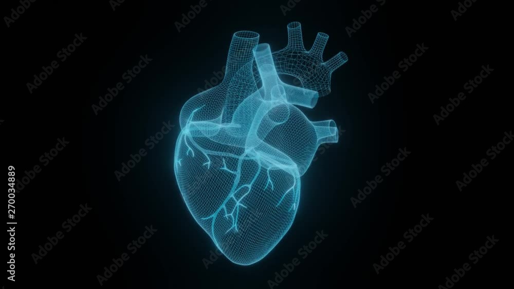 3D wireframe hearts render isolated white backgrounds, Abstract Heart ...