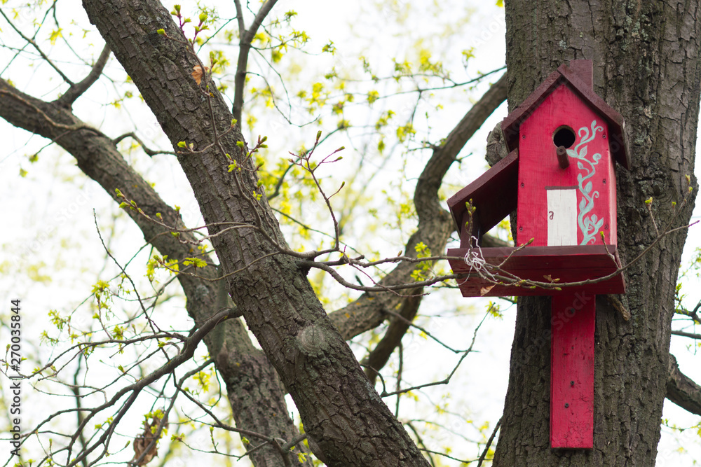 tree house for birds on the tree, birdhouse from the tree for wintering ...