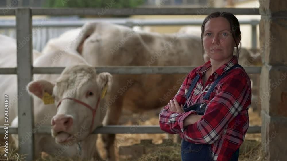 Proud successful farmer at cow dairy farm. Portrait of adult caucasian ...