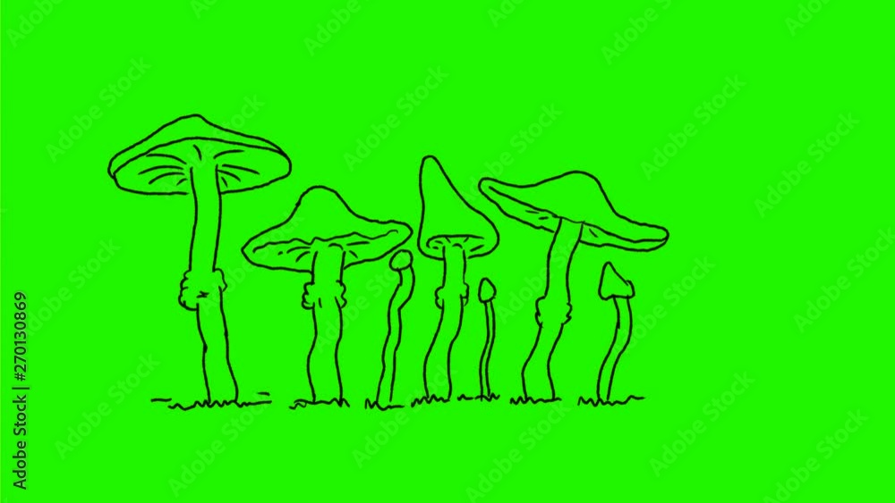 Vidéo Stock 2d Animation motion graphics drawing of a mushroom, or ...