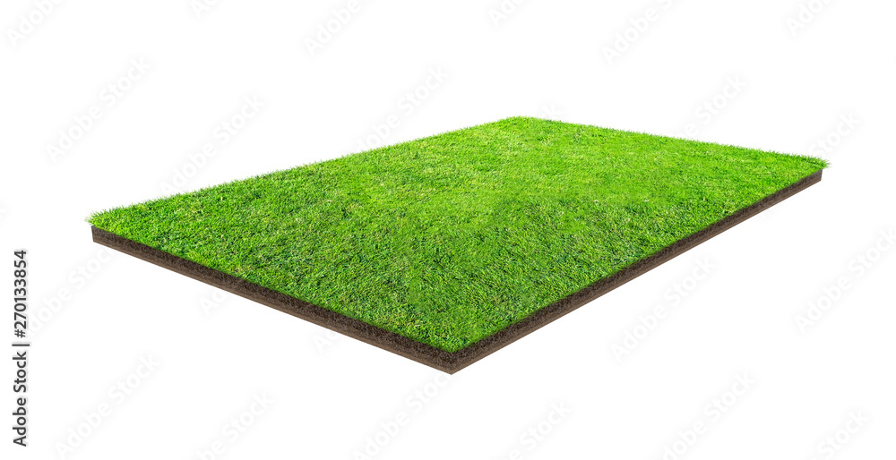 Green grass field isolated on white with clipping path. Sports field ...