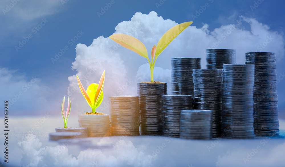 Big growth of return of investment , professional financial investment ...