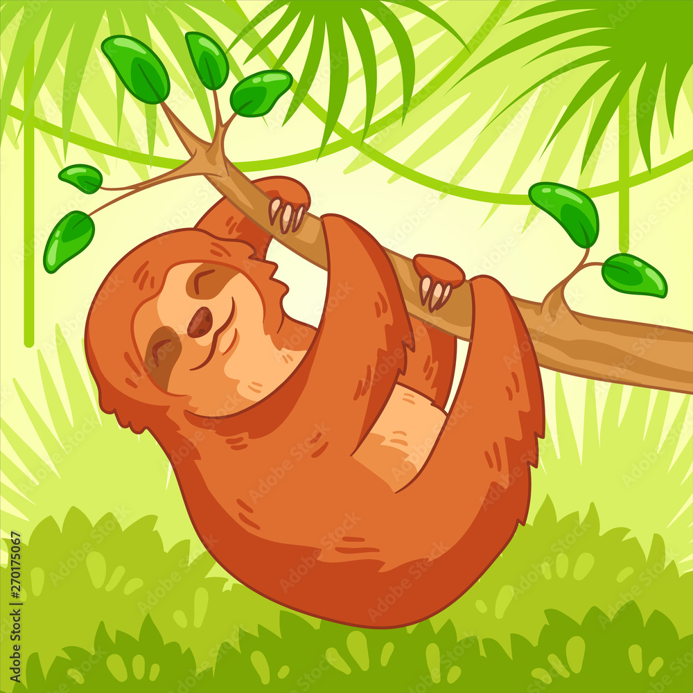 Hanging Sleeping Sloth