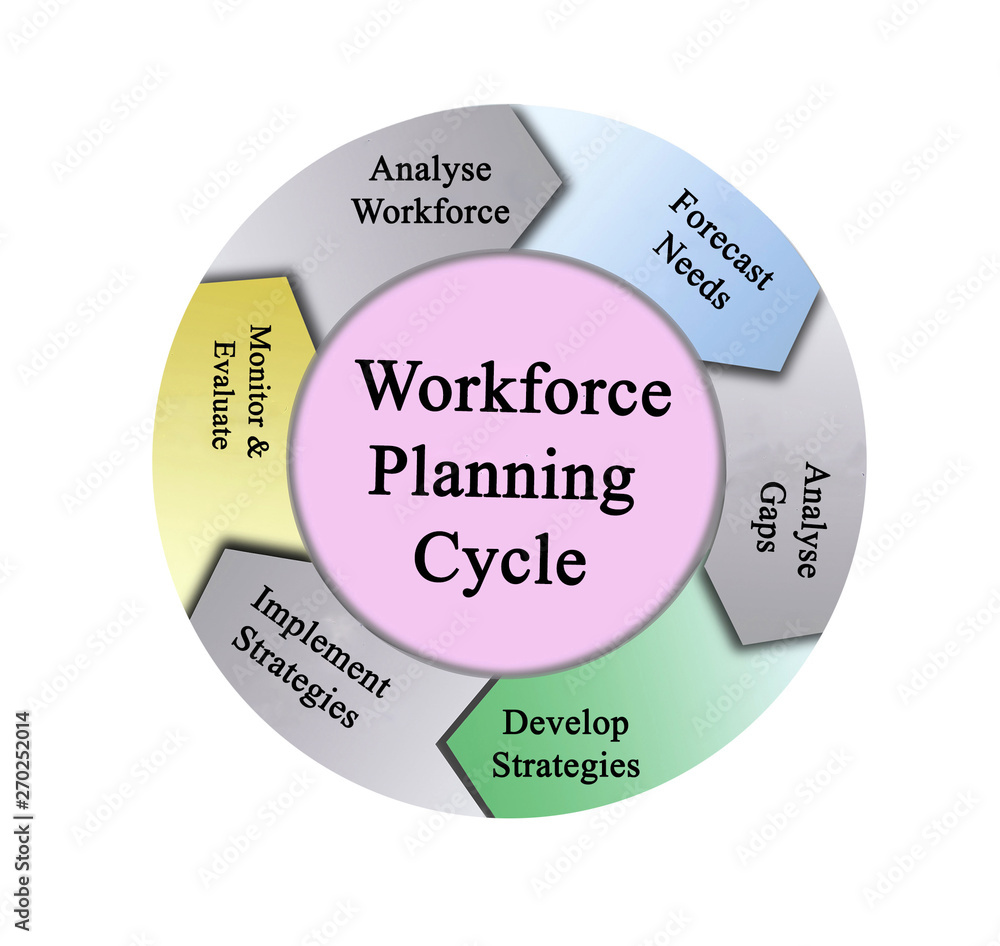 Components of Workforce Planning Cycle. Stock Illustration | Adobe Stock