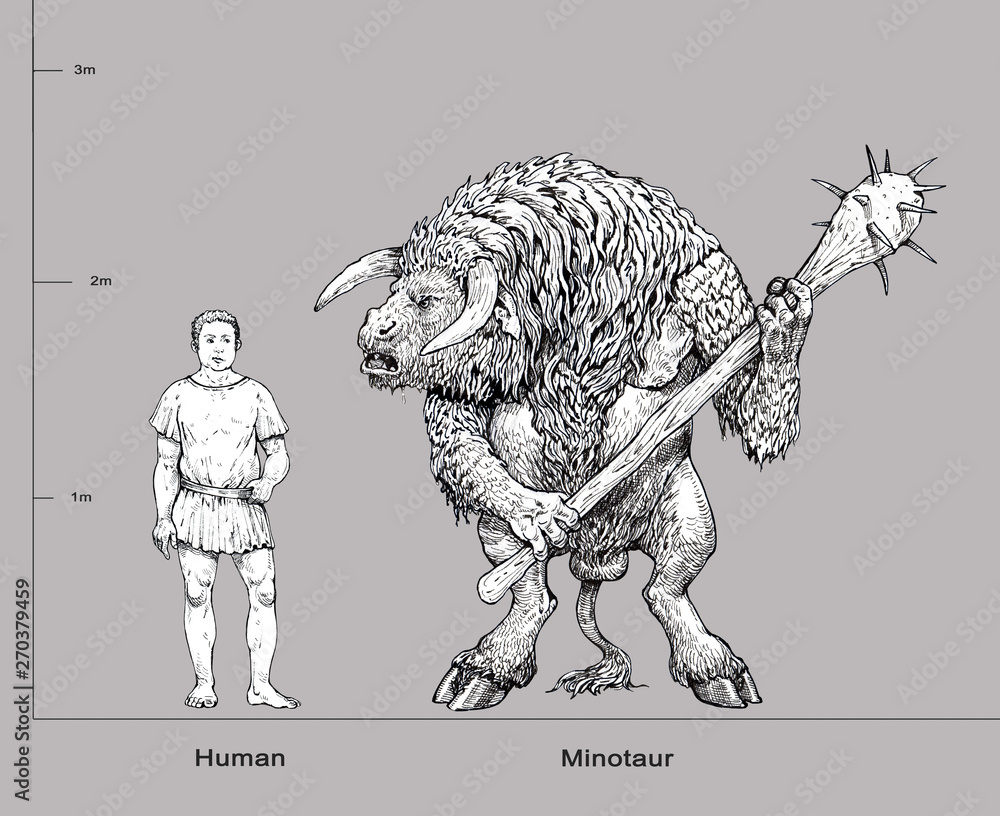 Monster illustration. Minotaur and human anatomy comparison. Fantasy ...
