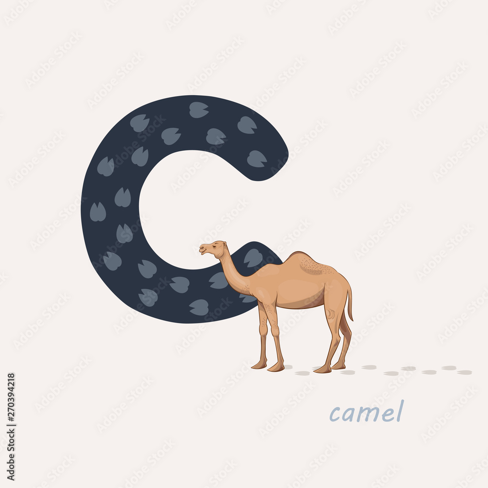 Vector illustration. Blue letter C with camel's footprints, a cartoon ...