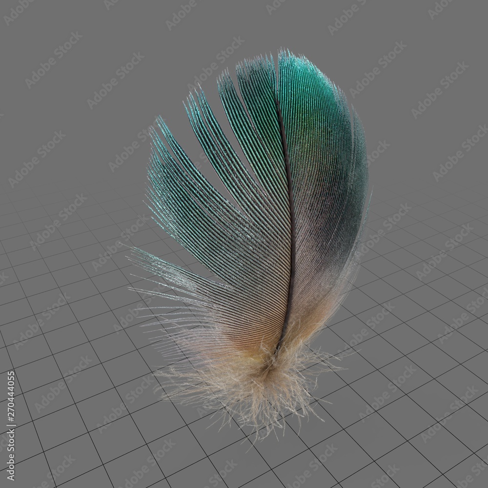 Green feather Stock 3D asset | Adobe Stock