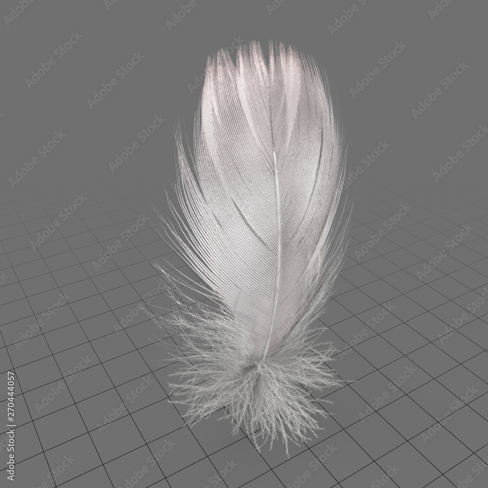 White feather contenido 3D de Stock | Adobe Stock