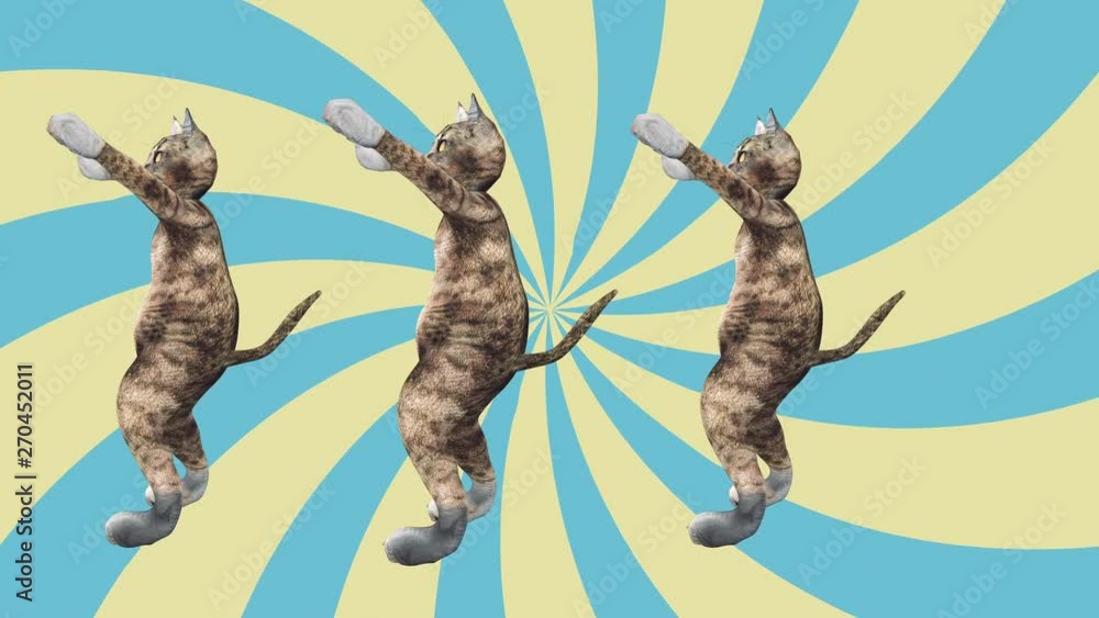 Cool and Fun Pet Dancing Gangnam Style. Crazy Kitty Moves to Music Wave ...