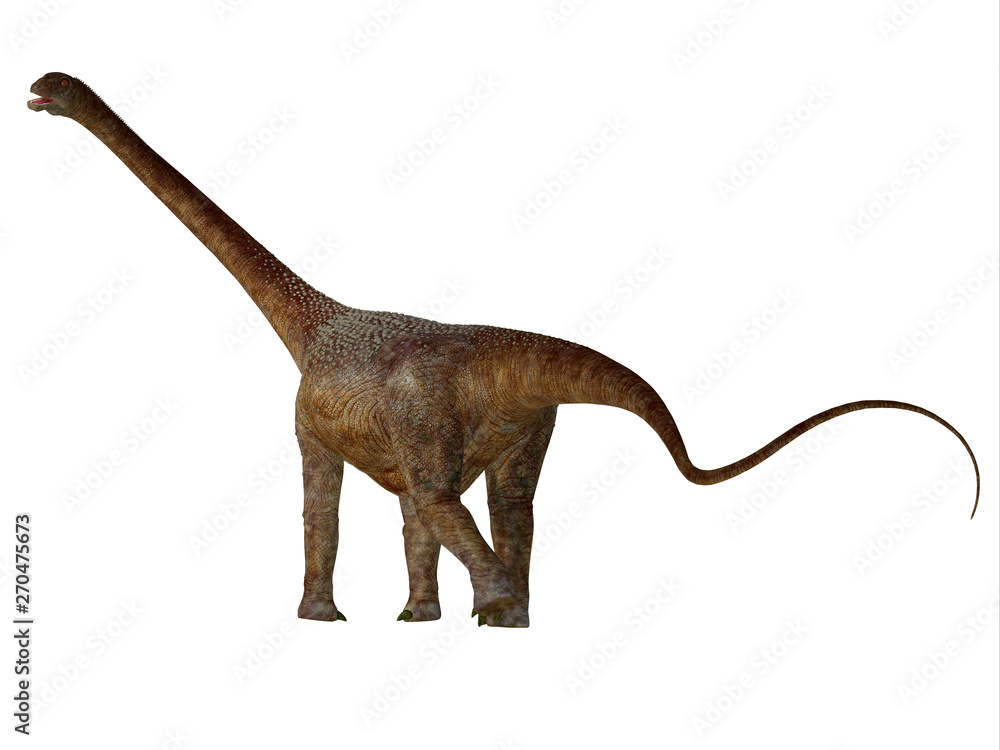 Malawisaurus Dinosaur Tail - Malawisaurus was a herbivorous sauropod ...