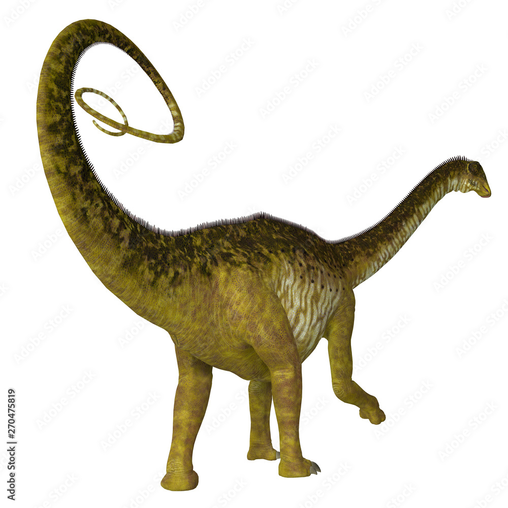 Nigersaurus Dinosaur Tail - Nigersaurus was a herbivorous sauropod ...