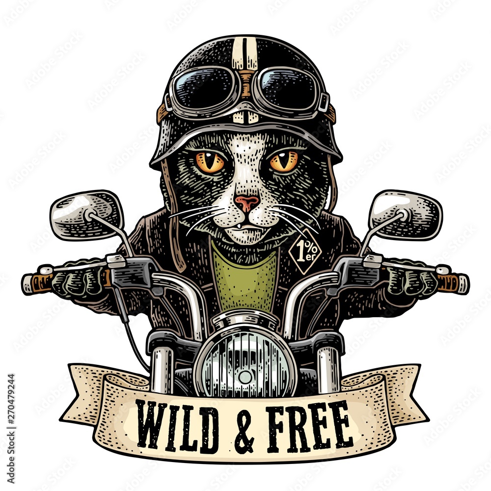Cat driving a motorcycle rides. Vector vintage engraving Stock Vector ...