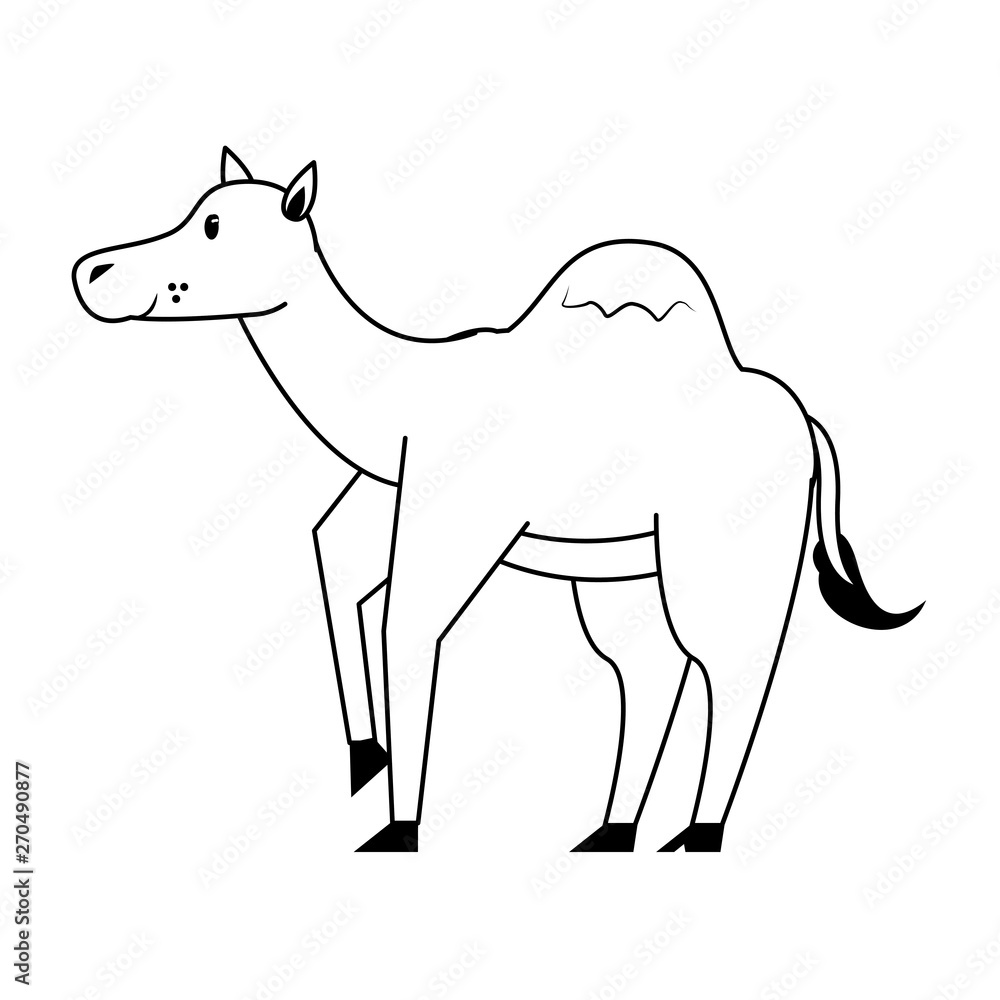 camel wildlife cute animal cartoon in black and white Stock Vector ...