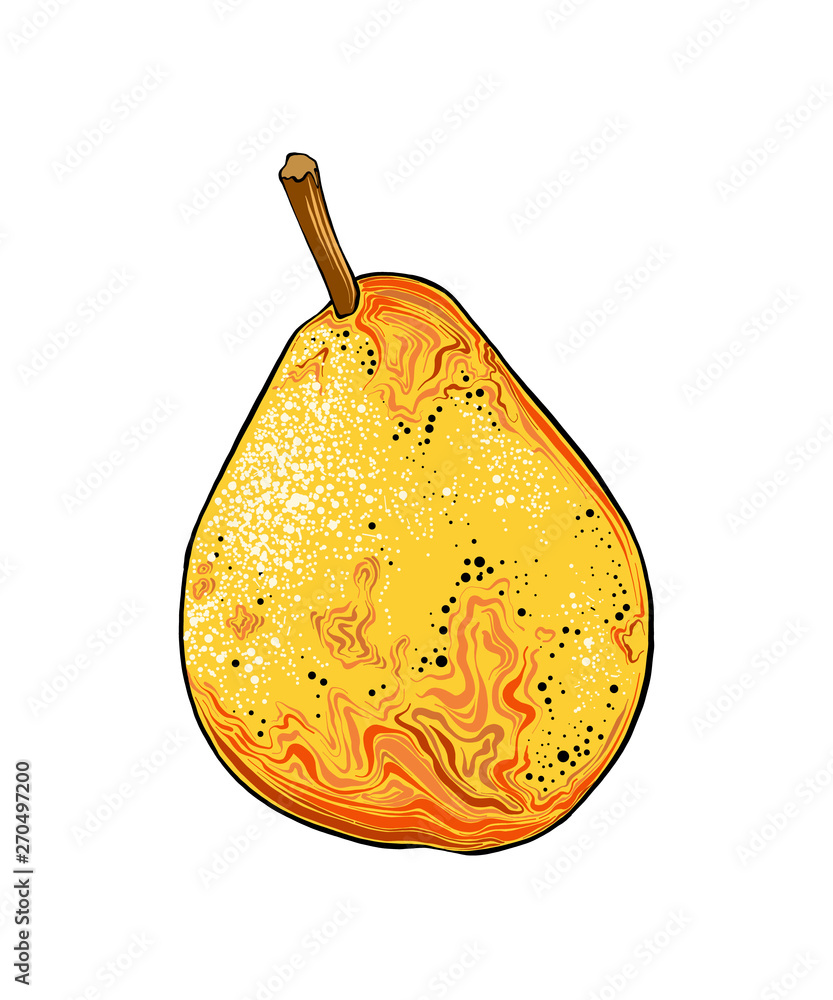 Hand drawn sketch of pear in color. Isolated on white background ...