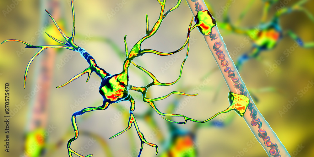 Astrocyte and blood vessel, 3D illustration. Astrocytes, brain glial ...