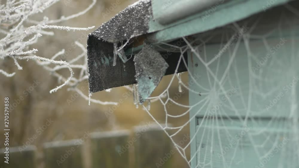 A shed roof with spider webs covered in ice and plane of focus moving ...