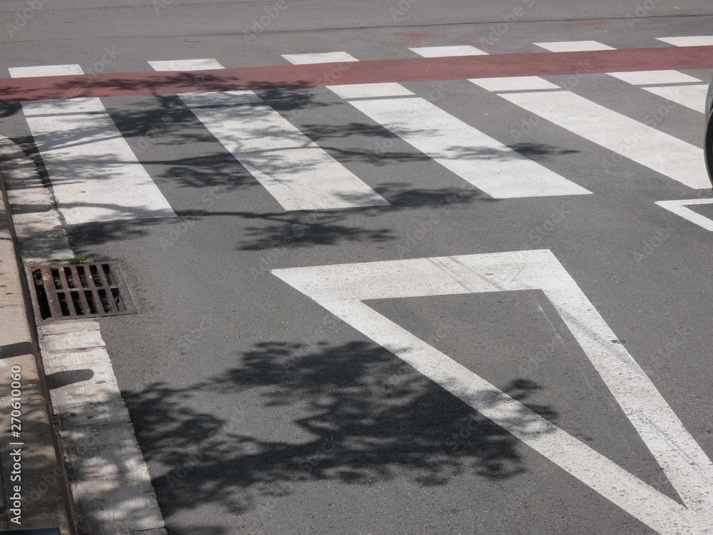 Foto de Señales de tráfico pintadas en la calzada do Stock | Adobe Stock