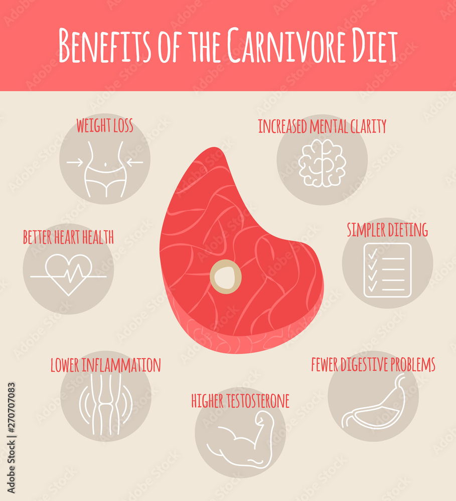 Vector Illustration of Results and Benefits of Carnivore Diet. Healthy ...