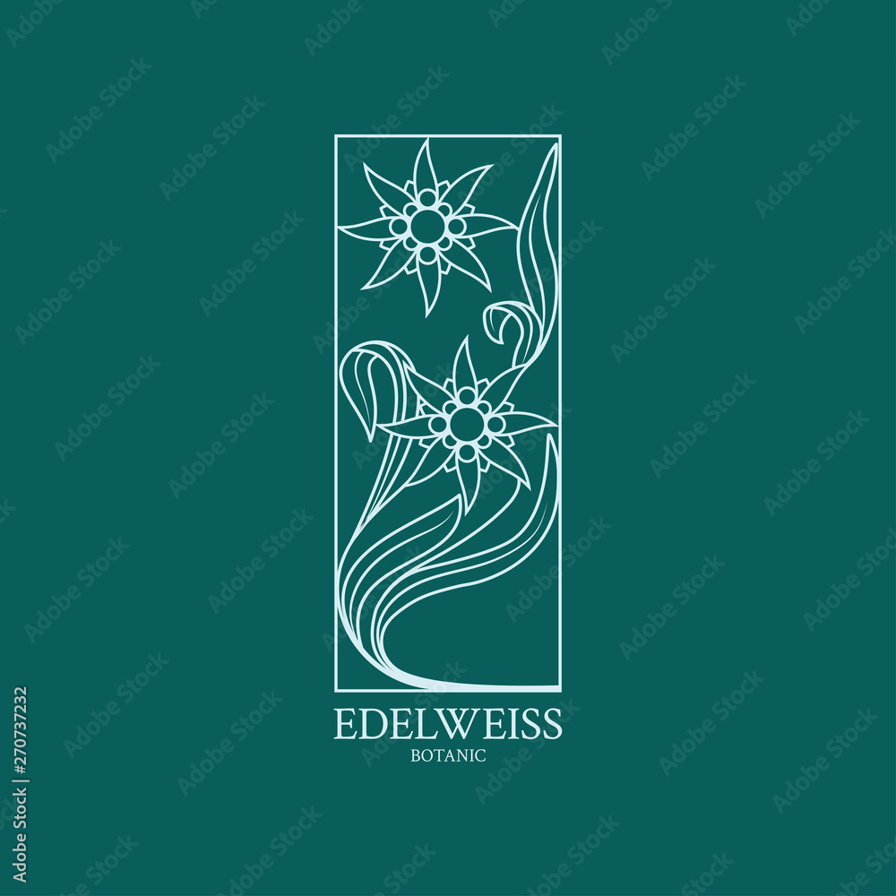 Edelweiss logo. Flower design of the logo with a hand-drawn flower of ...