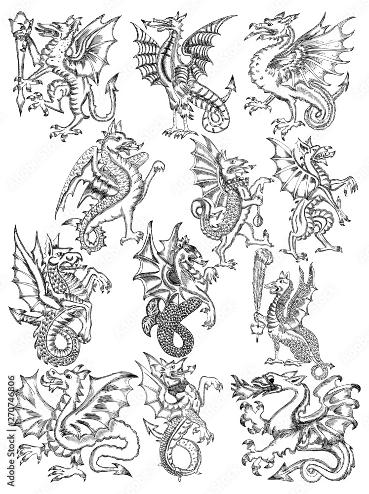 Hand Drawn Heraldic Dragon Vector design collection Stock Vector ...